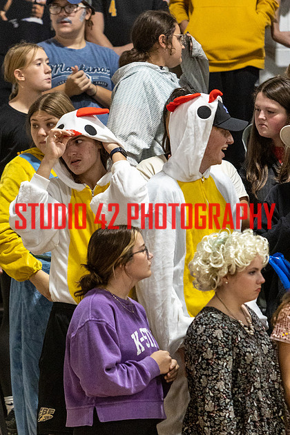 Studio 42 | 2023-2024